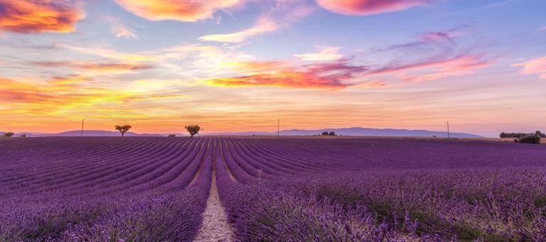 Pourquoi partir en Provence à l'automne et au printemps ? | Blog ...